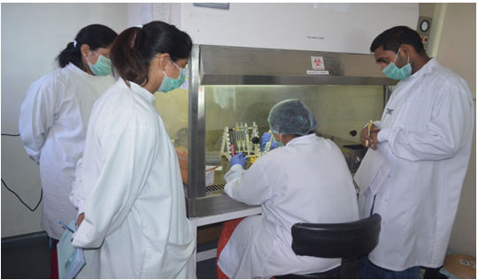 NIV - Resource Centre for Virus Research and Diagnostic Laboratories ...